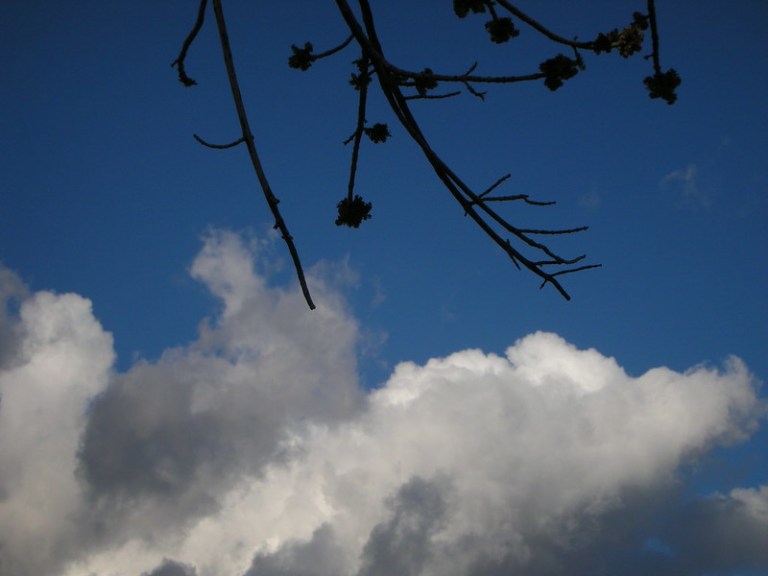 My DigiCams – Classic DigiCam