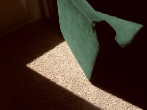 My DigiCams – Classic DigiCam