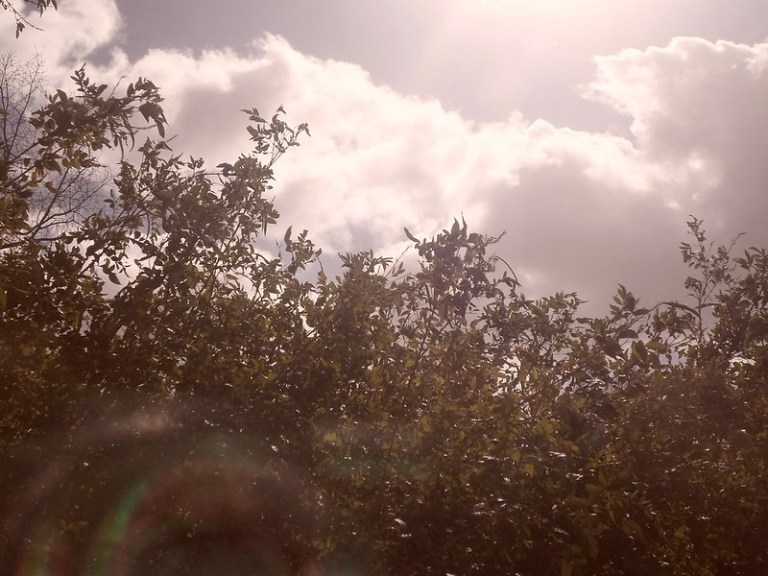 My DigiCams – Classic DigiCam