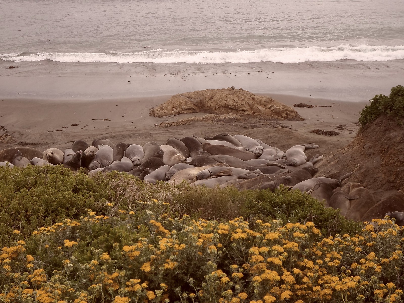 California Coast with a Samsung ST76 – Classic DigiCam